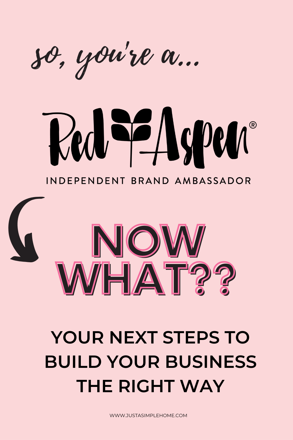 Your Next Steps As A Red Aspen Brand Ambassador - Just A Simple Home